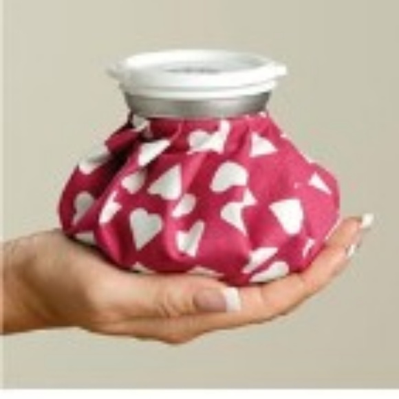 Gal Pal | Other | Gal Pal Retro Ice Bag | Poshmark